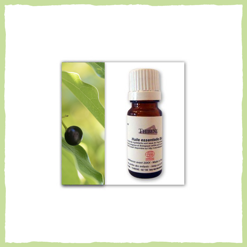 Hygiène & Cosmétique :: Santé :: Huile Essentielle De Camphre 100% Pure ...